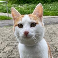 一站式phd博士招生广告 duooffer.github.io - 知乎