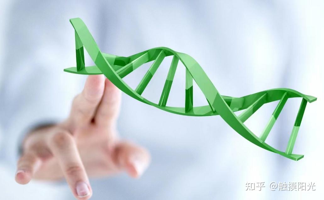 弥漫大B淋巴瘤治疗方法，双靶点新药DZD8586片 - 知乎