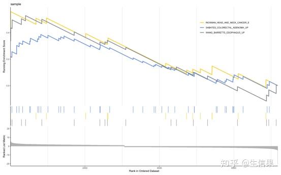 十分钟GSEA从原理到绘图 - 知乎
