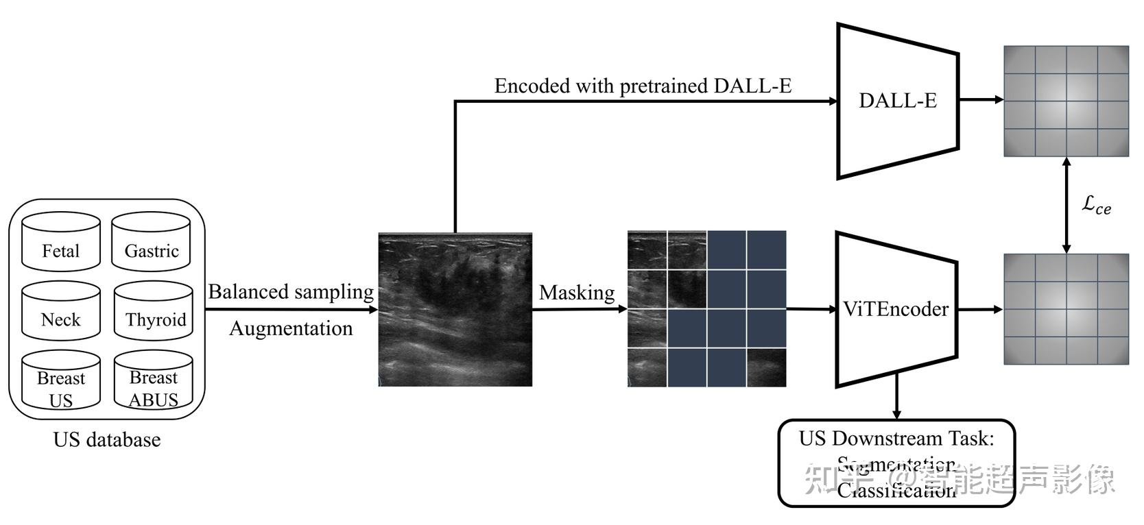 USFM：适用于各种任务和器官的通用超声基础模型，实现标签高效图像分析 - 知乎
