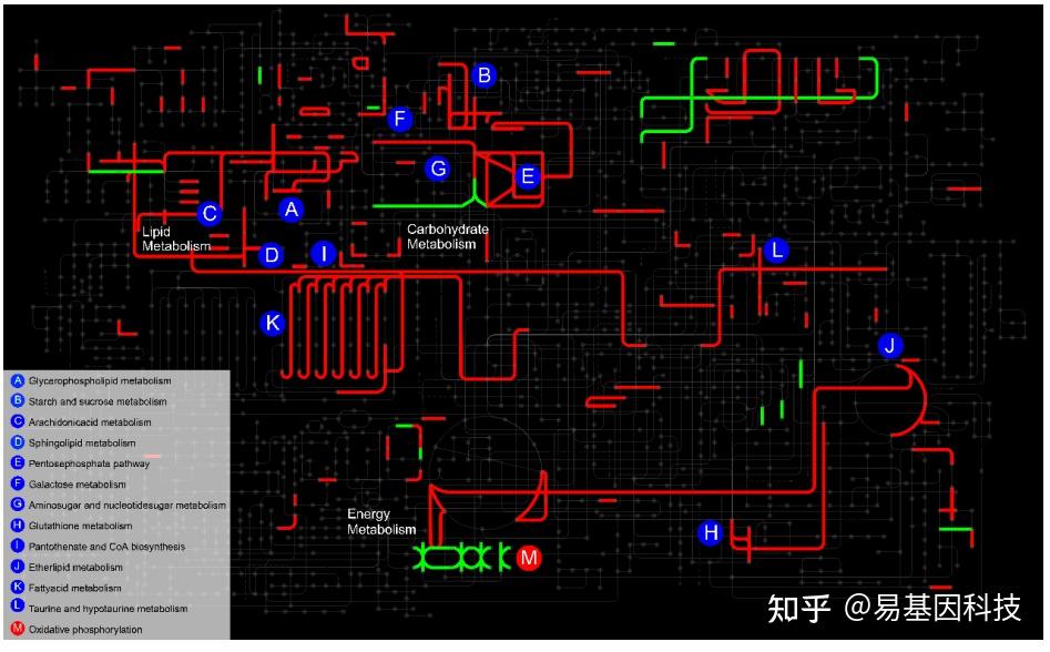 易基因｜DNA甲基化研究的测序数据挖掘思路：干货分享 - 知乎