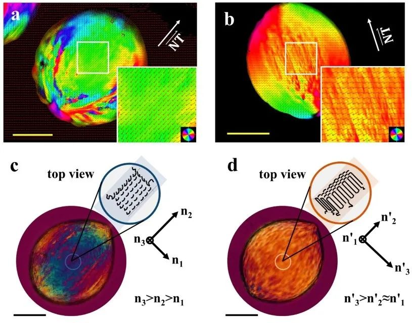偏振光学显微成像技术在高分子结晶结构表征中的应用 - 知乎