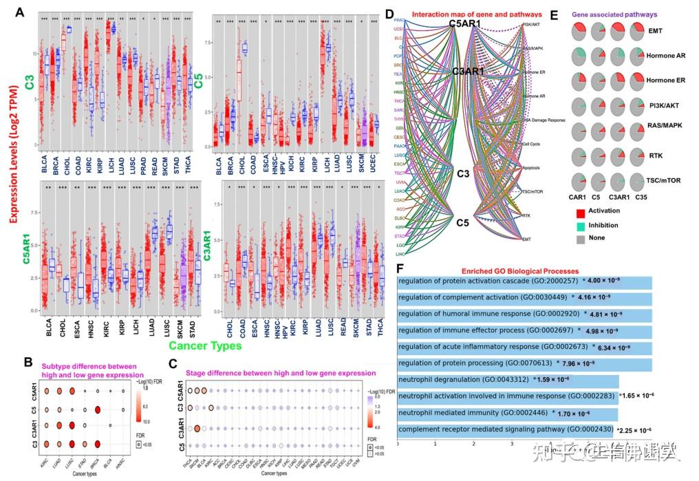 最新6.6分，45天接收的基因集泛癌纯生信 值得尝试！ - 知乎