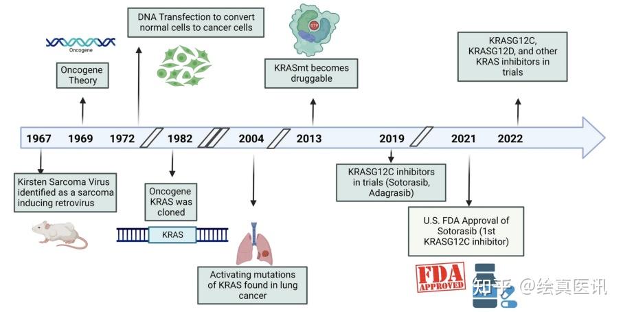 KRAS G12C共突变非小细胞肺癌多亚组疗效分析研究，索托雷塞表现优异！ - 知乎