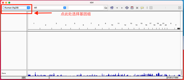 易基因 | 生物信息学：igvtools使用文档 - 知乎