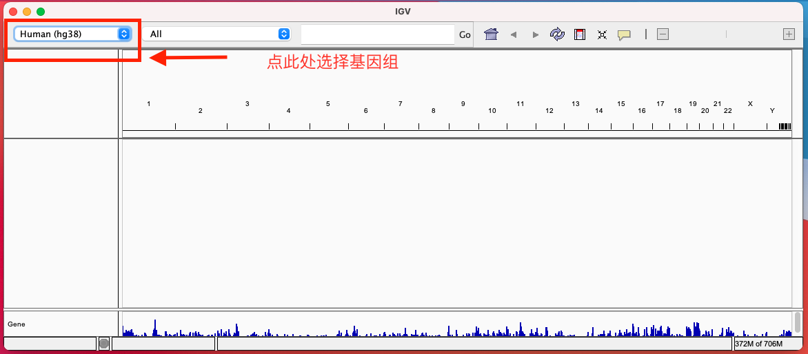 深入解析IGV基因组浏览器：igvtools快速 - 知乎