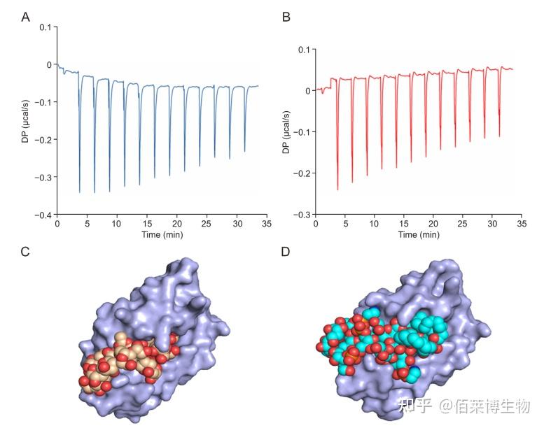 脂多糖（LPS）与蛋白亲和力测定的几种方法：SPR、ITC、BLI、MST - 知乎