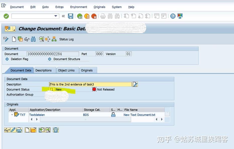 SAP CV02N 审批一个文档 - 知乎