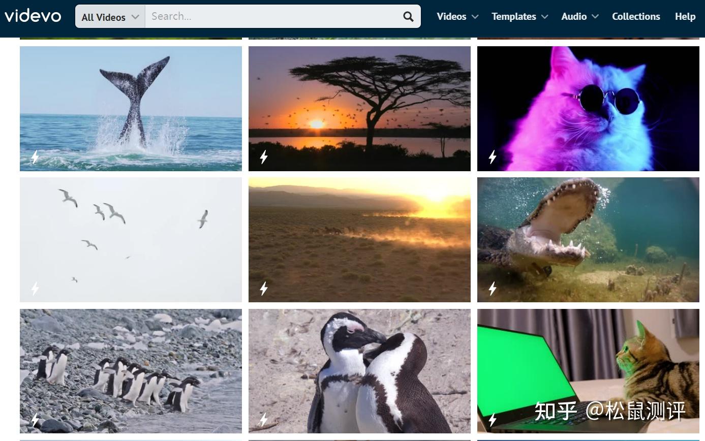11个高清无版权视频素材库推荐，自媒体人必备！ - 知乎