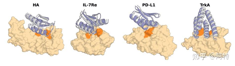 蛋白质设计工具：RFdiffusion 用法 - 知乎