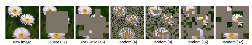 论文阅读 SimMIM: a Simple Framework for Masked Image Modeling - 知乎