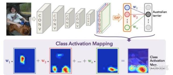 CAM Class Activation Mapping -pytorch - 知乎