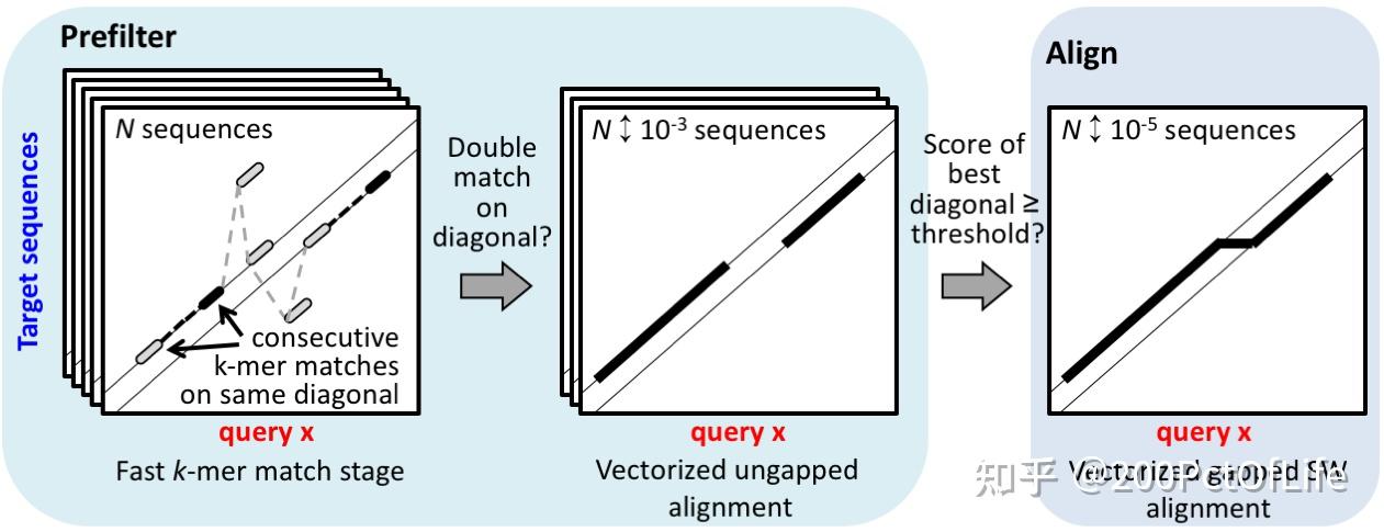 使用 MMseq2 对序列聚类 - 知乎