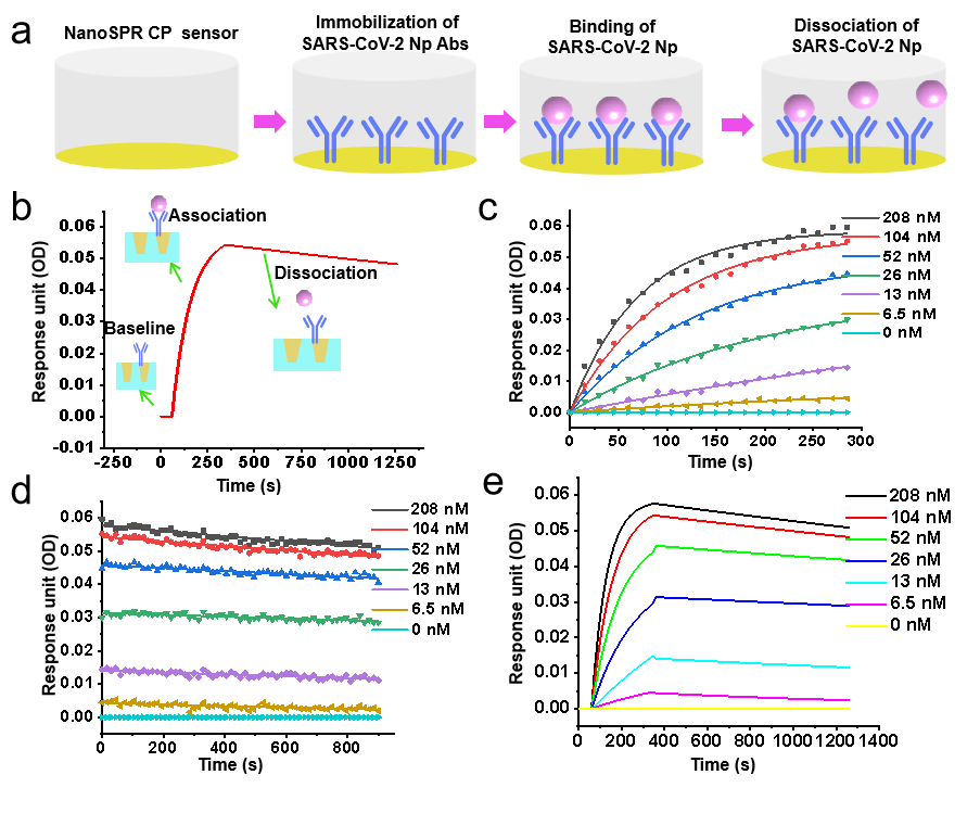「技术前沿」｜实时无标记分子互作技术在抗体药物研发中的应用 —— 第二期 - 知乎