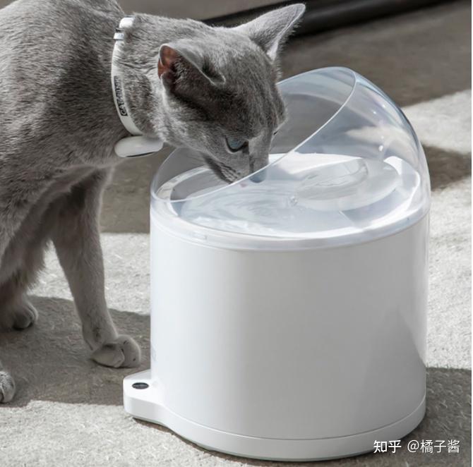 宠物饮水机怎么选?哪个牌子的猫咪饮水机值得入手?2024年猫咪饮水机选购推荐!