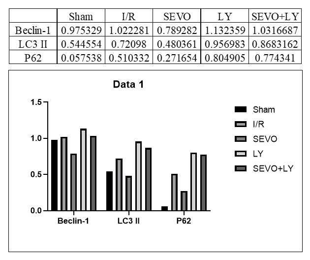 科研论文作图之ImageJ - 知乎