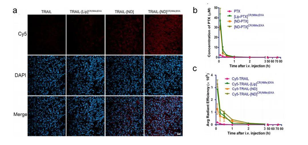 CY (Cyanine) 花菁类染料是什么？ - 知乎