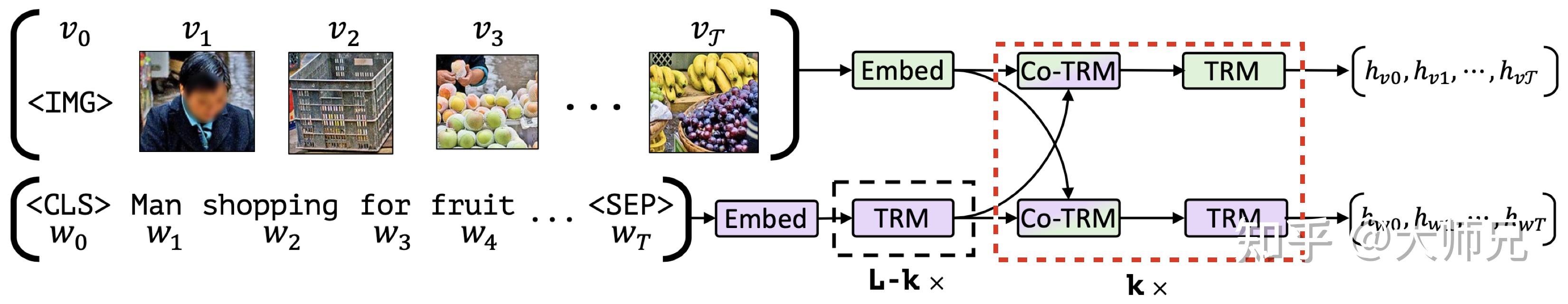 多模态预训练ViLBERT解读 - 智源社区