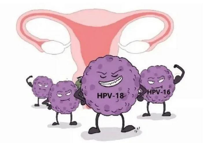 感染HPV＝宫颈癌?大错特错！ - 知乎