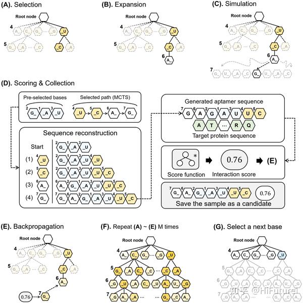 【蒙特卡洛树搜索（MCTS）】AlphaGo - 知乎