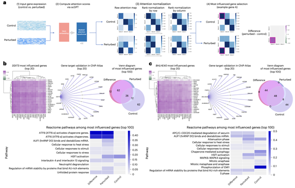 Nat Methods｜scGPT：利用生成式AI构建单细胞多组学基础模型 - 知乎