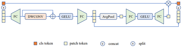 消除视觉Transformer与卷积神经网络在小数据集上的差距 - 知乎