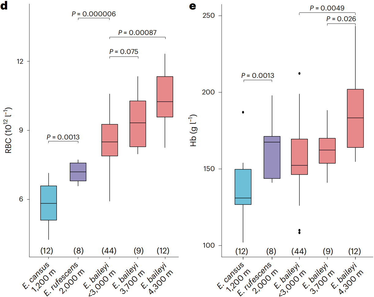 Nat Ecol Evol项目文章详解 | 兰州大学李克欣/刘建全合作揭示基因组结构变异和3D基因组进化在高原鼢鼠低氧适应中的作用 - 知乎