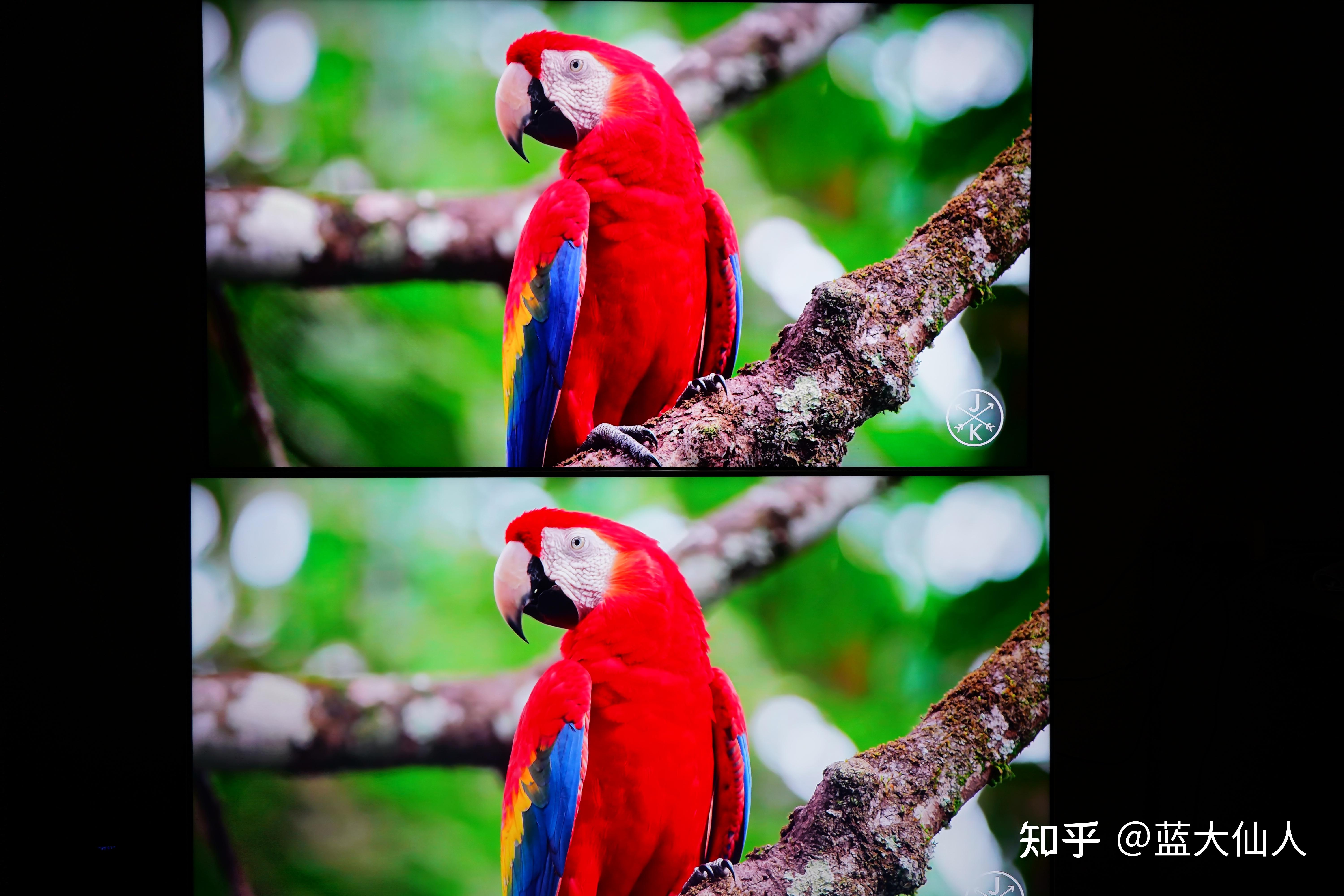 索尼X90J测评，相比9000H有哪些提升？