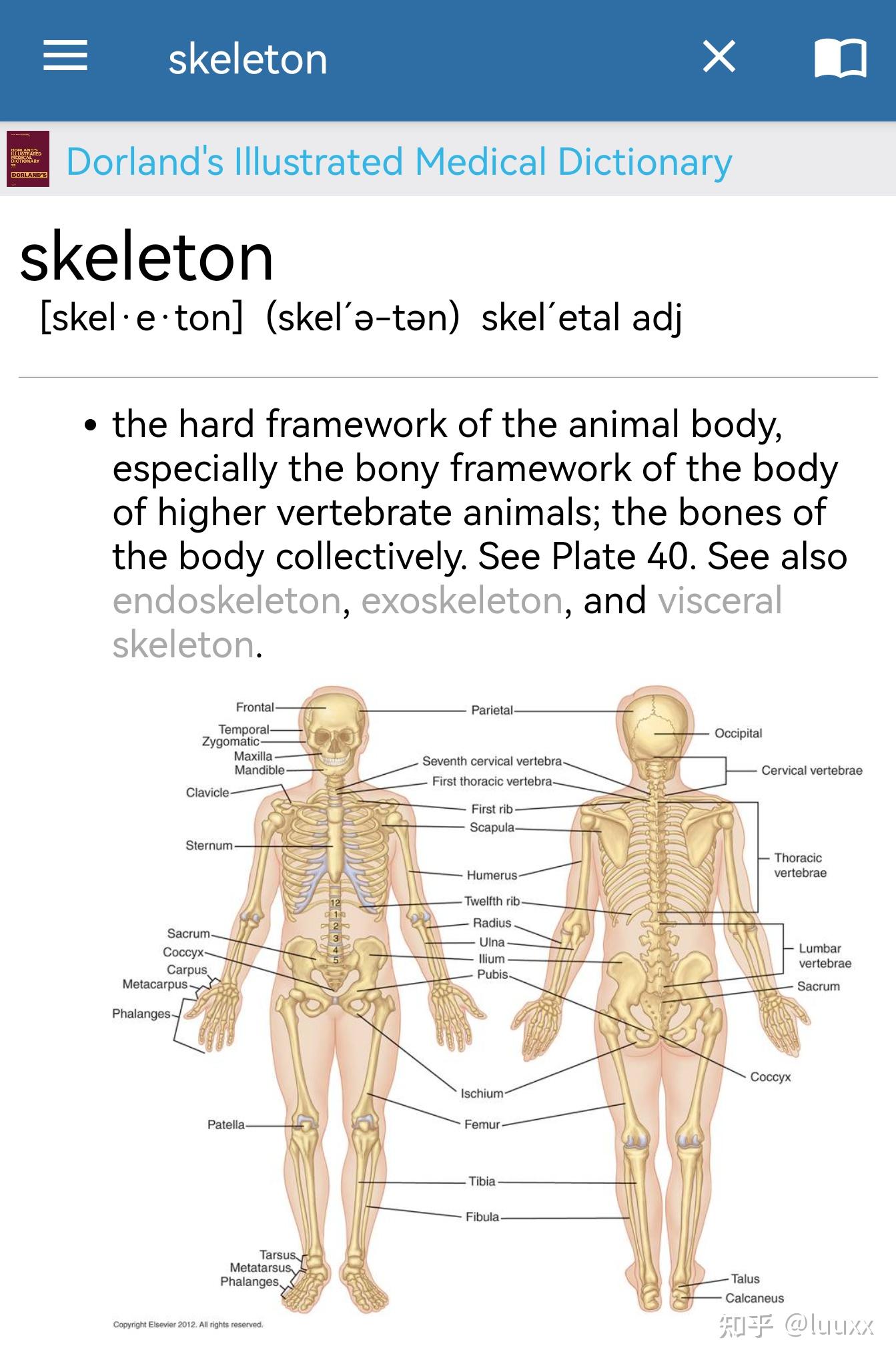 MDict——界面简洁而功能丰富的移动端字典APP - 知乎