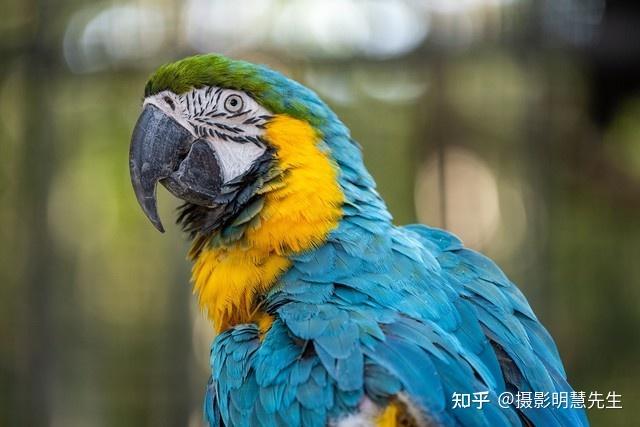 松下S5，尼康Z6，索尼A7M3，佳能R6 要怎么选择？