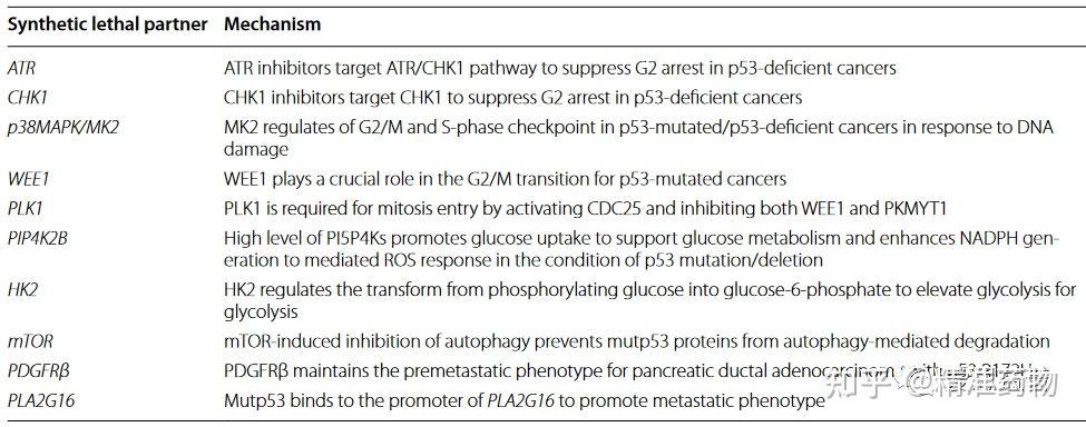 【靶点】P53 - 知乎