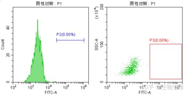 纳米抗体制备流程详解 知乎