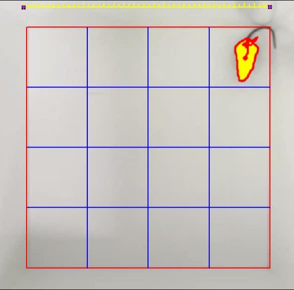 矿场实验Open Field Test (OFT) 实验详细流程 - 知乎