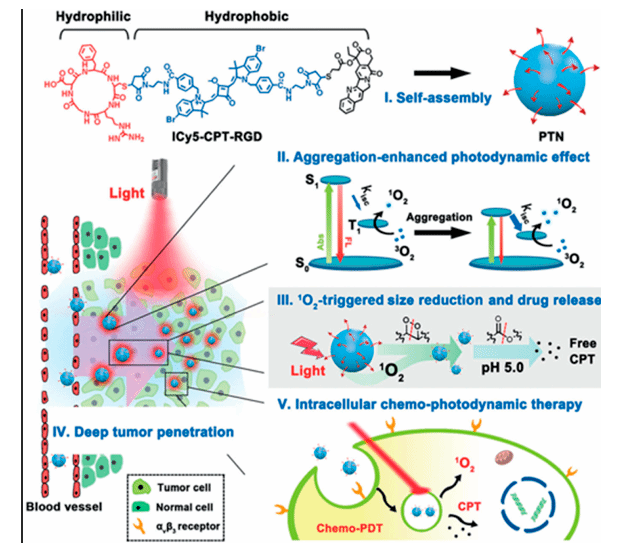 多肽GE11修饰超顺磁性四氧化三铁纳米粒子/CY3/CY3.5/CY5/CY5.5/CY7/CY7.5/ICG的应用 - 知乎