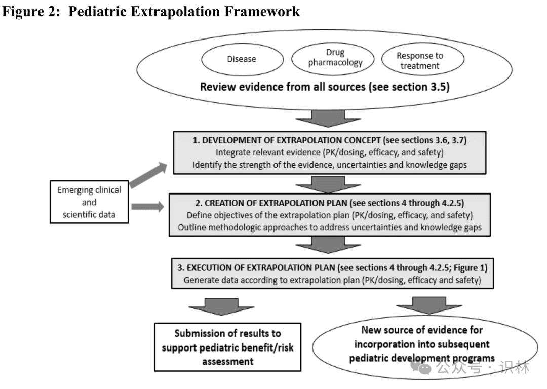ICH 定稿 E11A 儿科药外推指南 - 知乎