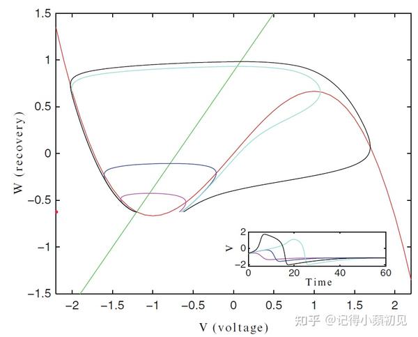 HH方程的简化版本 - FHN模型：动力学特性与相平面分析 - 知乎