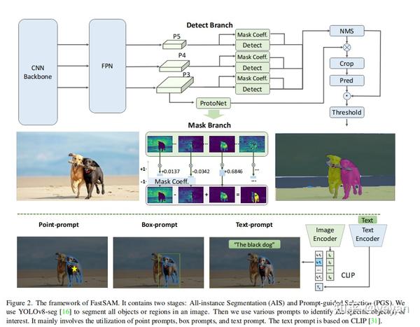 [论文解读]比sam快50倍的通用视觉模型fastsam(Fast Segment Anything) - 知乎
