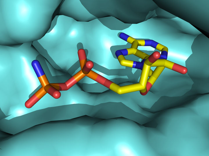 药物设计实验基础1. Getting Started on Molecular Design with Pocket2Mol - 知乎
