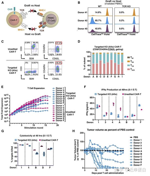 免疫治疗新星—T记忆干细胞Tscm - 知乎
