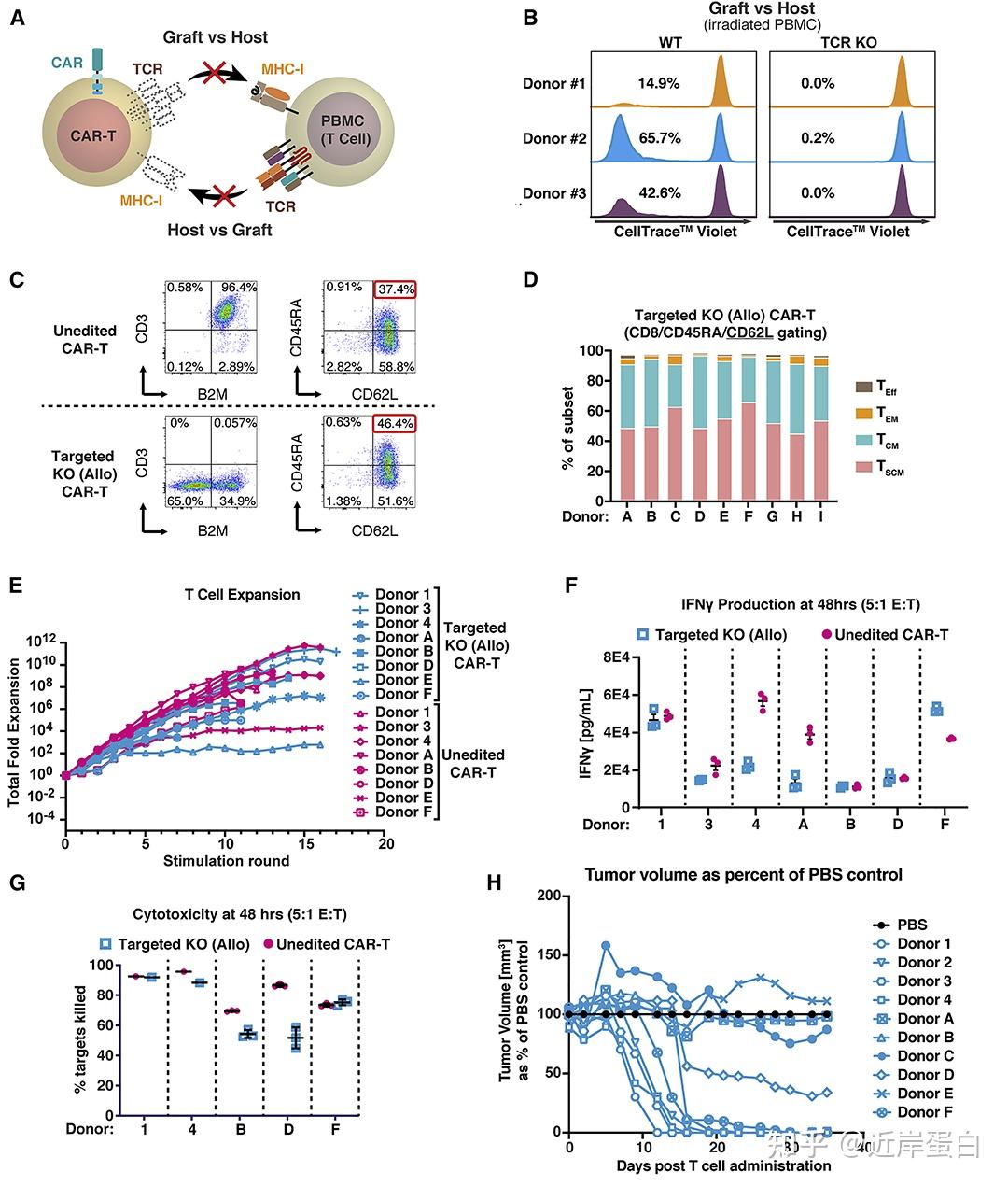 免疫治疗新星—T记忆干细胞Tscm - 知乎