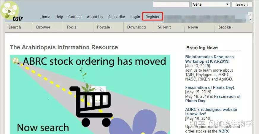 拟南芥种子订购详细攻略-TAIR-ABRC篇 - 知乎