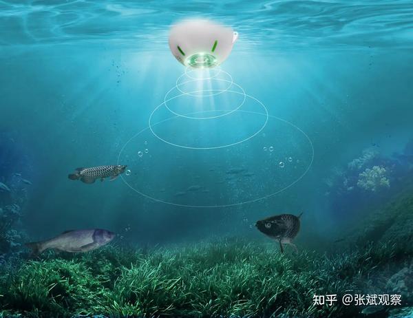 中国海底声呐探测系统曝光，能让美军的核潜艇无处遁形 - 知乎