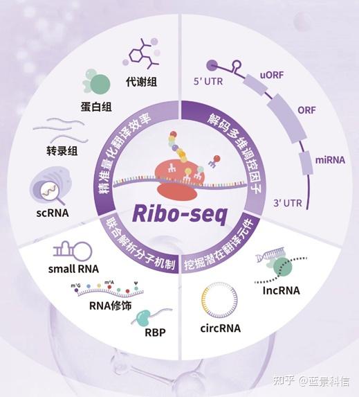 [应用指南] Ribo-seq在神经科学方向的研究思路 - 知乎