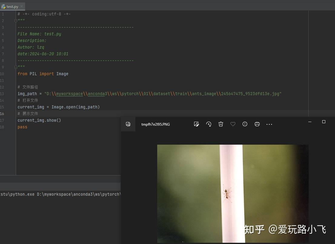 利用PIL读取图片及图片集~pytorch初学 - 知乎