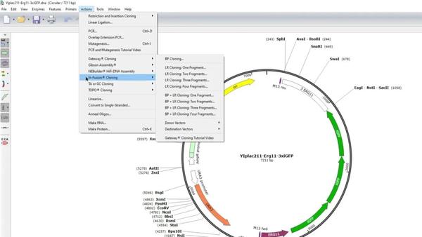 SnapGene 初学者指南 | 使用【Actions】来计划和预测你的克隆实验 - 知乎