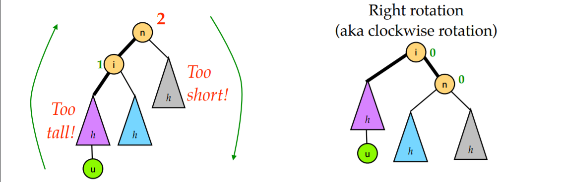 详解 AVL 树（基础篇） - 知乎
