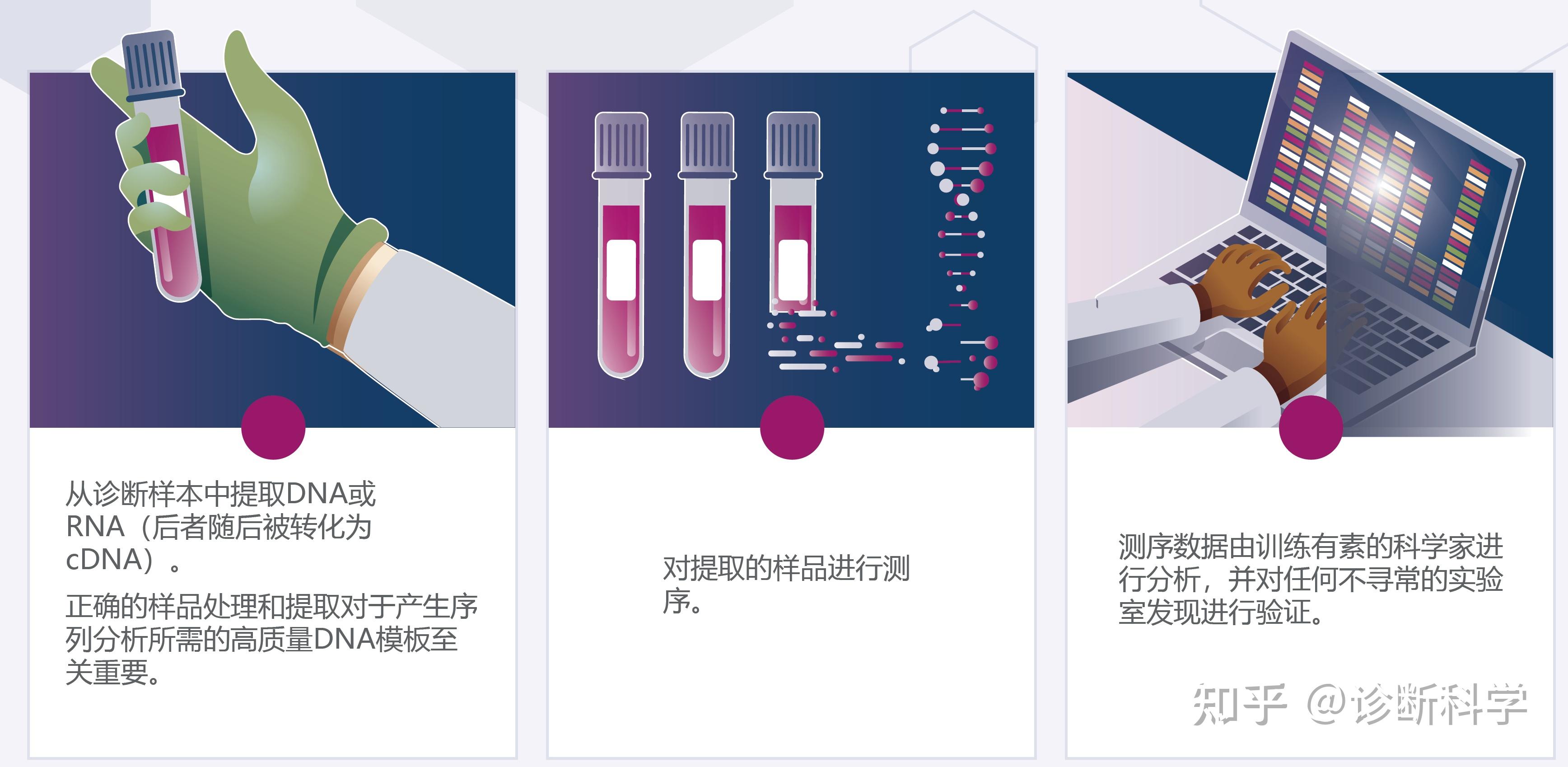 分子 | 在诊断实验室中使用Sanger测序 - 知乎