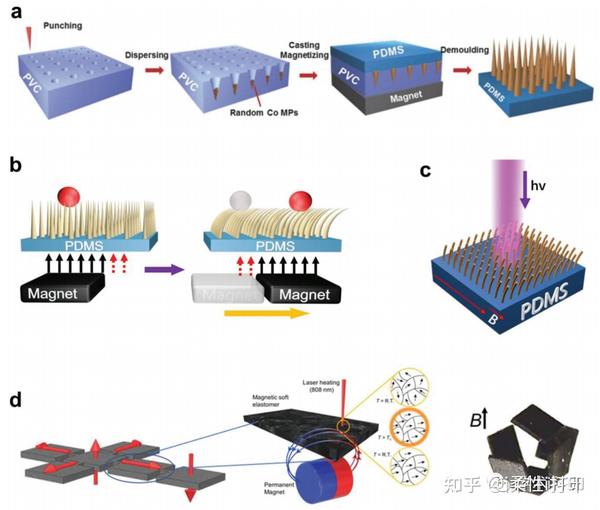 柔性基底 PDMS 最新的那些事儿 - 知乎