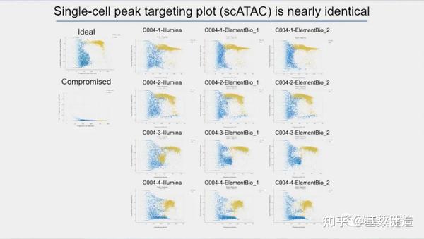 Element Bio更新 - 知乎