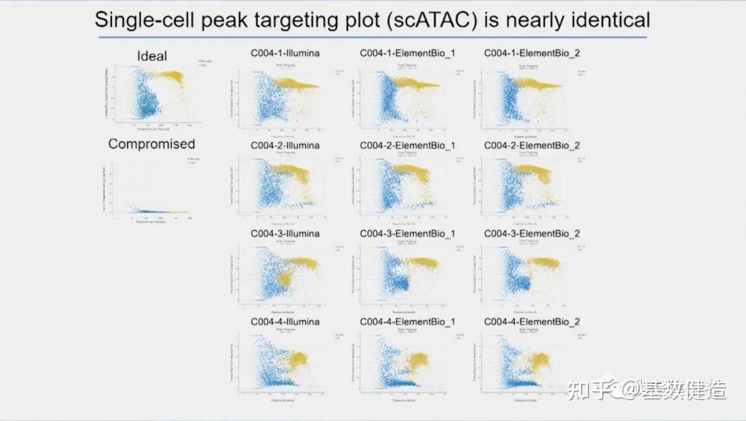 Element Bio更新 - 知乎